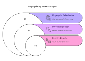 Your Guide to Florida Criminal Background Checks - Precise Hire